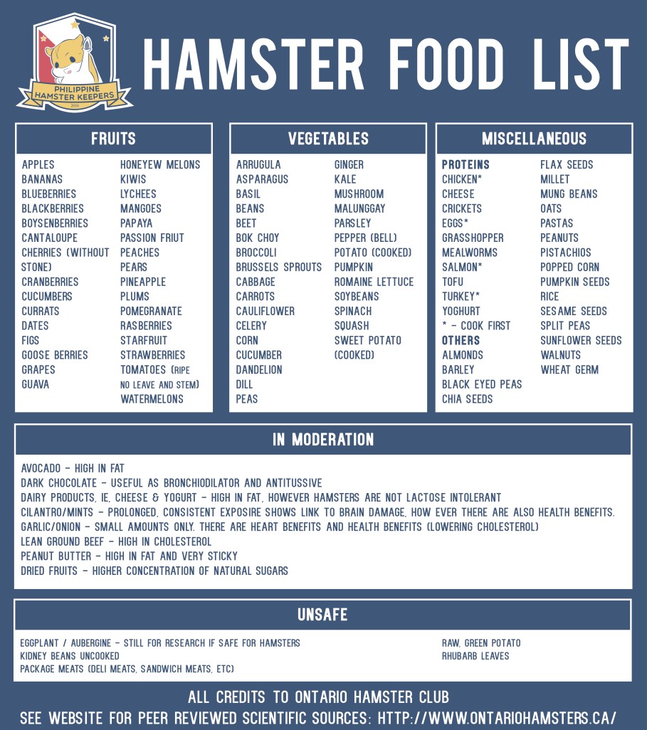 Hamster Care – Philippine Hamster Keepers