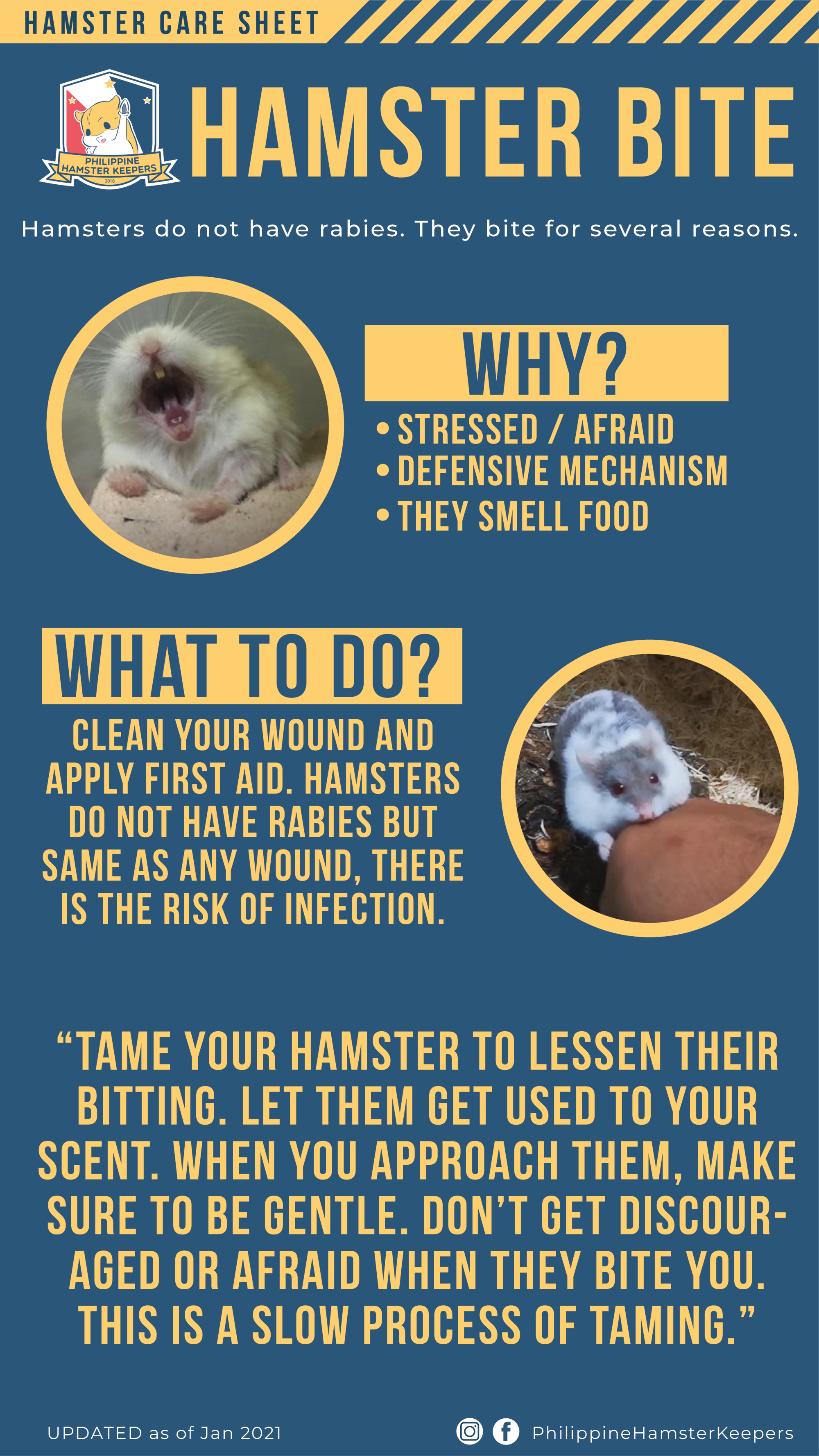 Hamster Bite – Philippine Hamster Keepers