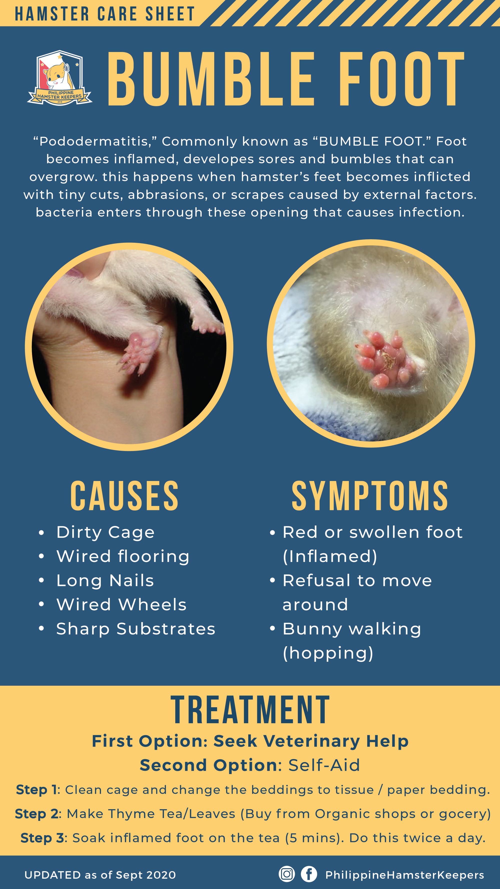 Bumble Foot – Philippine Hamster Keepers