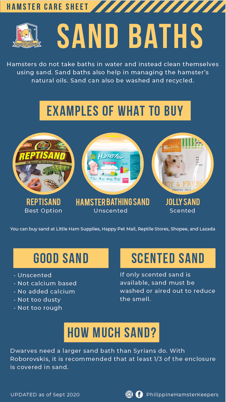 Sand Bath – Philippine Hamster Keepers