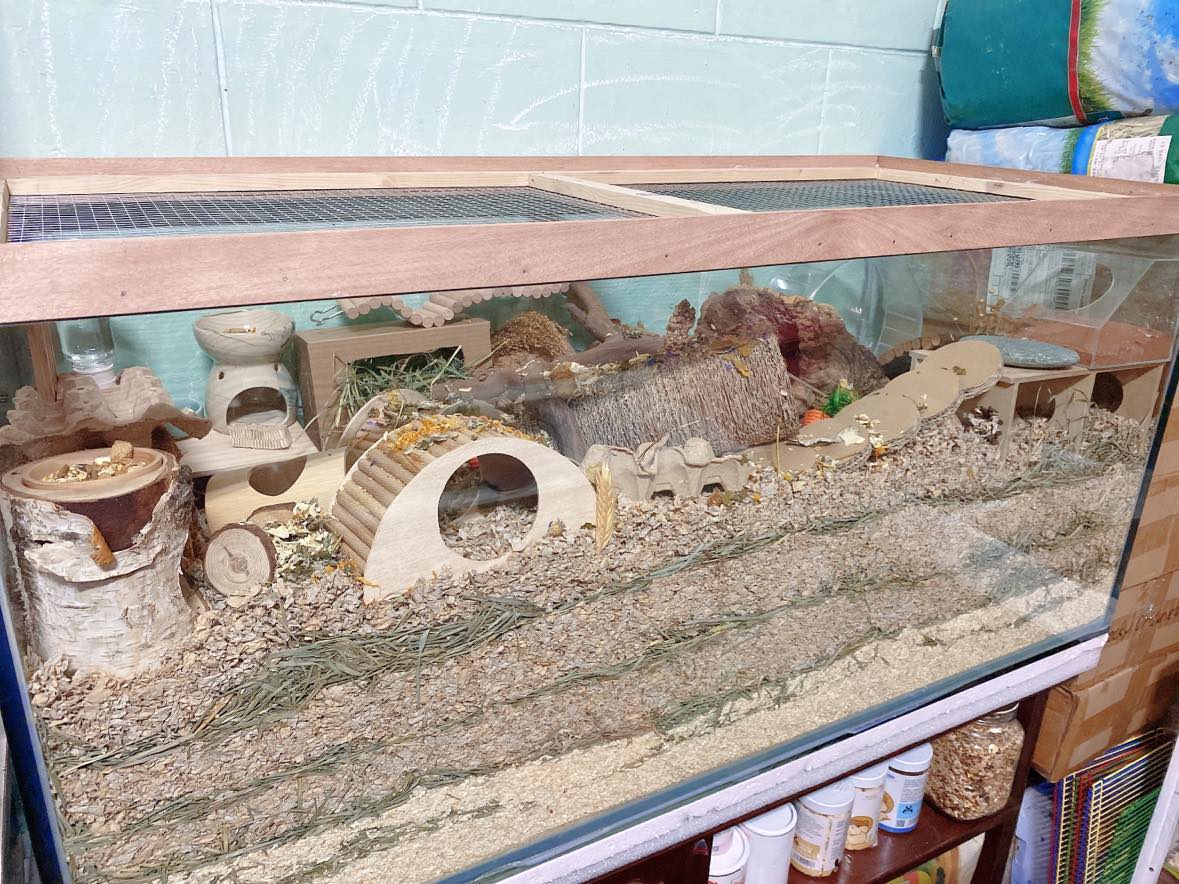 Aquarium / Glass – Philippine Hamster Keepers